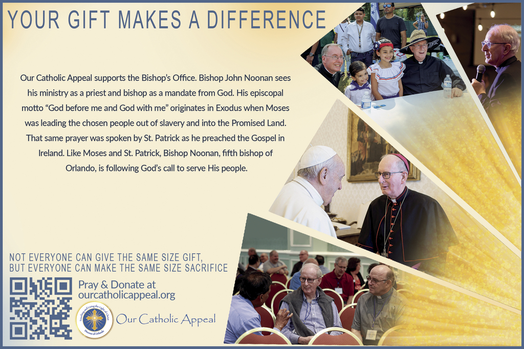 Our Catholic Appeal - January - English | Diocesan
